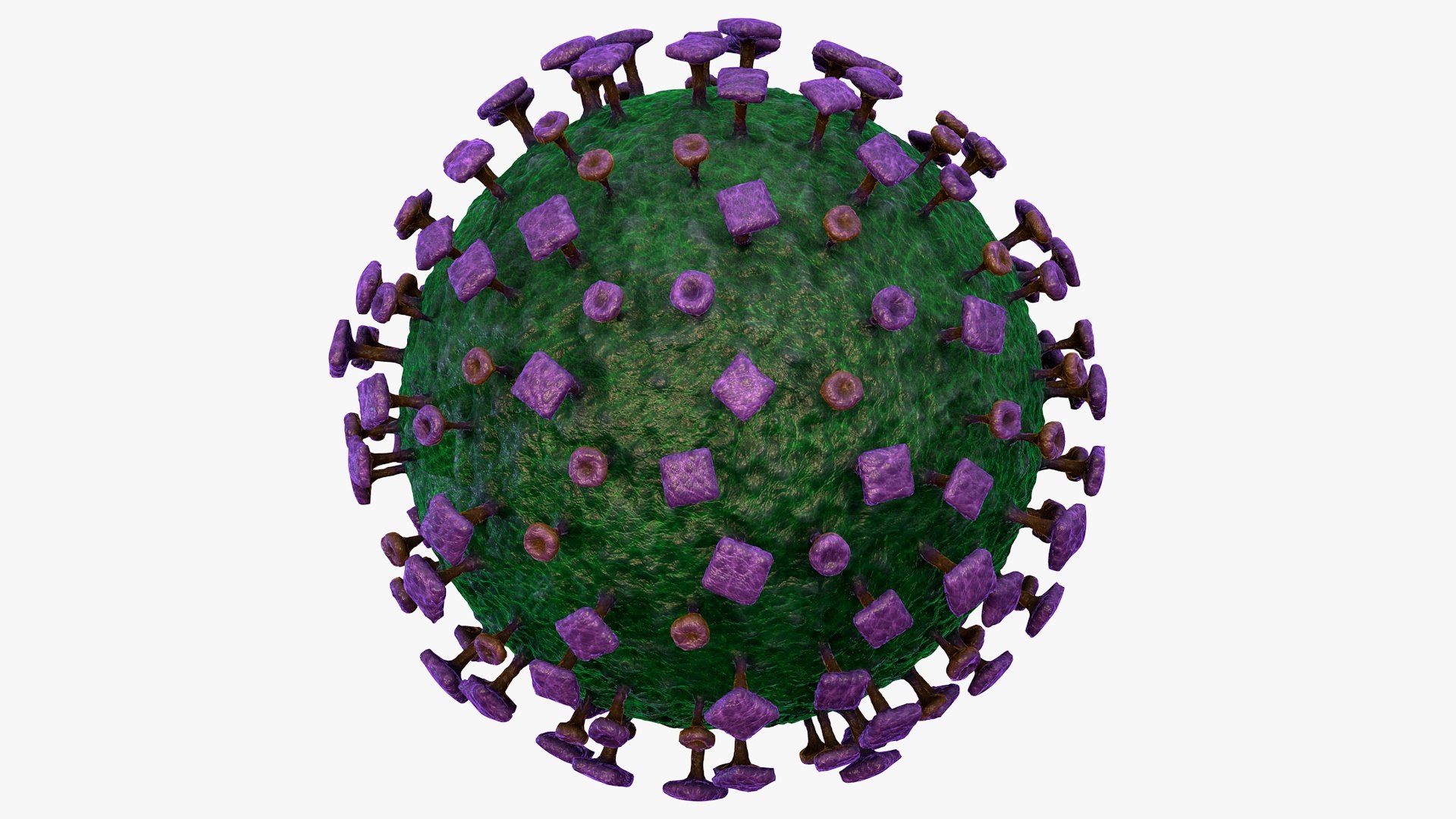 3D Anatomy Virus Science - TurboSquid 1685820