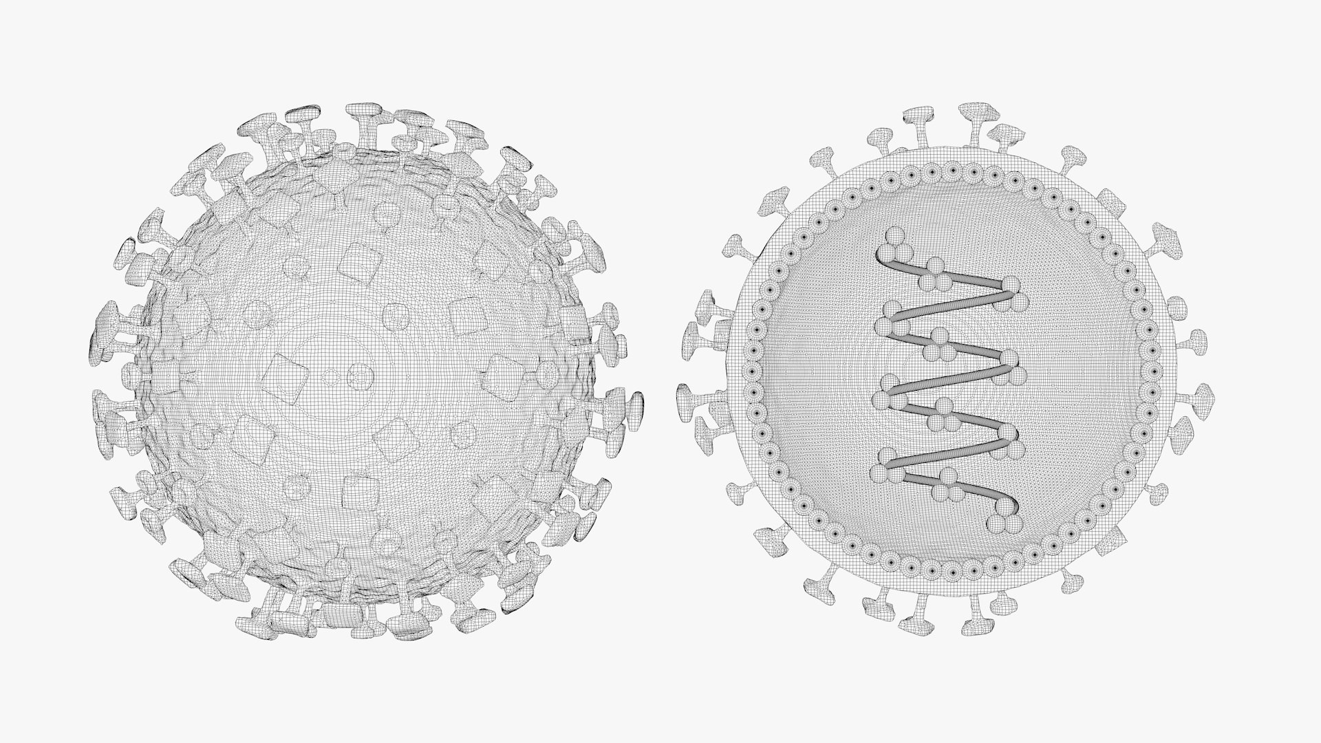 3D Anatomy Virus Science - TurboSquid 1685820