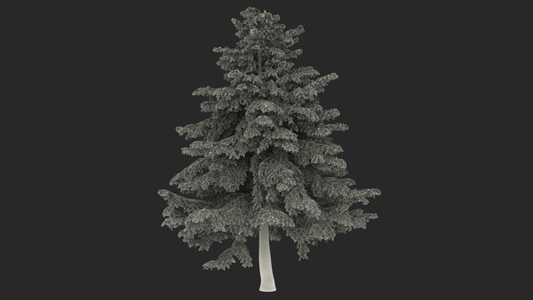 3D Evergreen Trees Collection 3 - TurboSquid 1887153