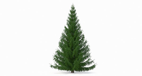 3D Evergreen Trees Collection 3 - TurboSquid 1887153