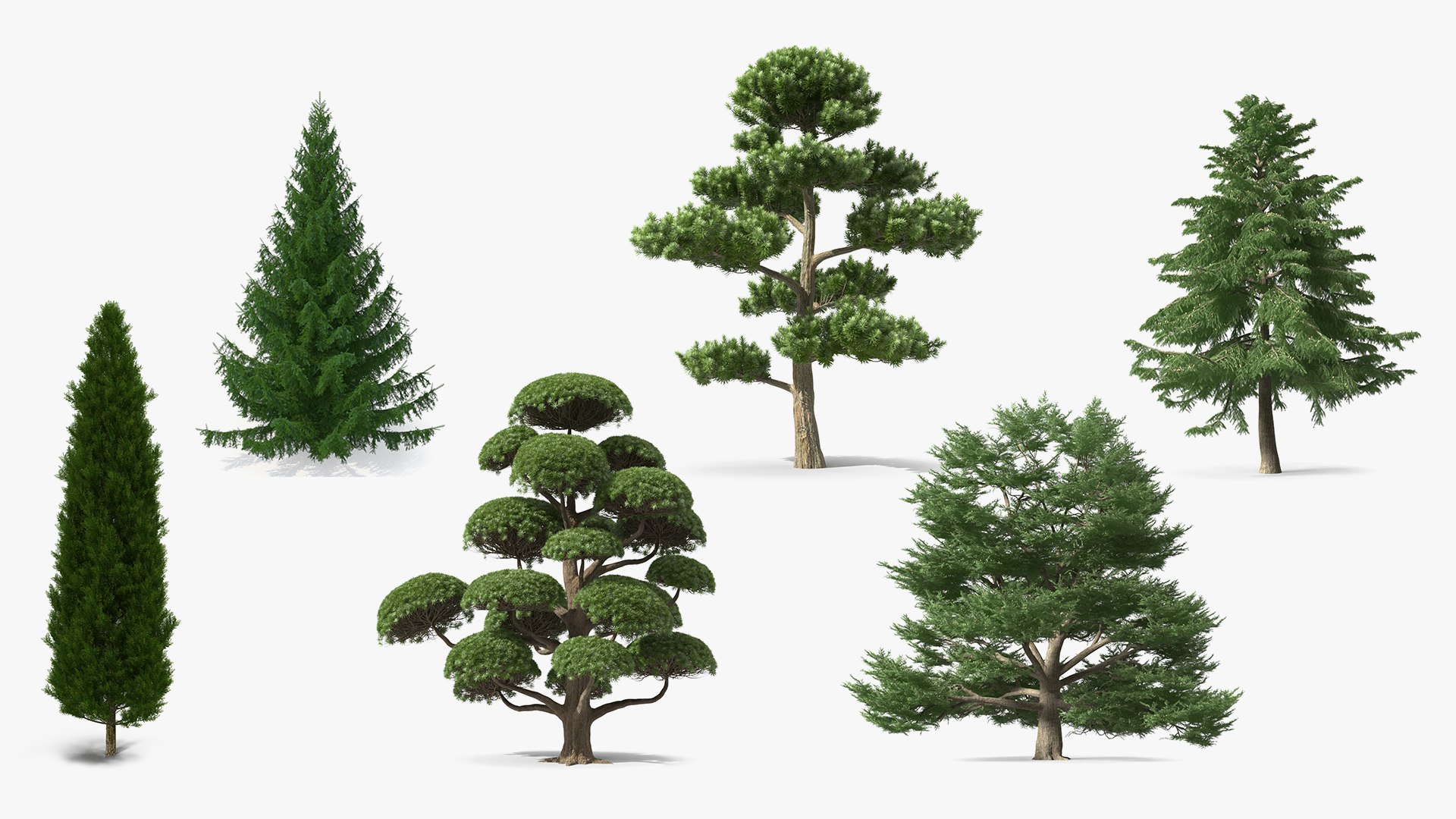 3D Evergreen Trees Collection 3 - TurboSquid 1887153
