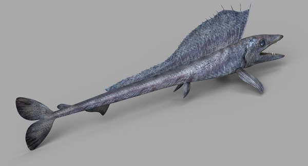 Lancet model - TurboSquid 1406026