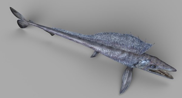 Lancet model - TurboSquid 1406026