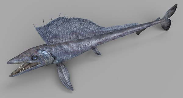 Lancet model - TurboSquid 1406026