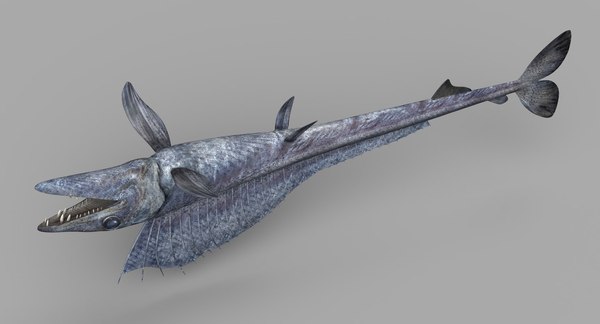 Lancet model - TurboSquid 1406026