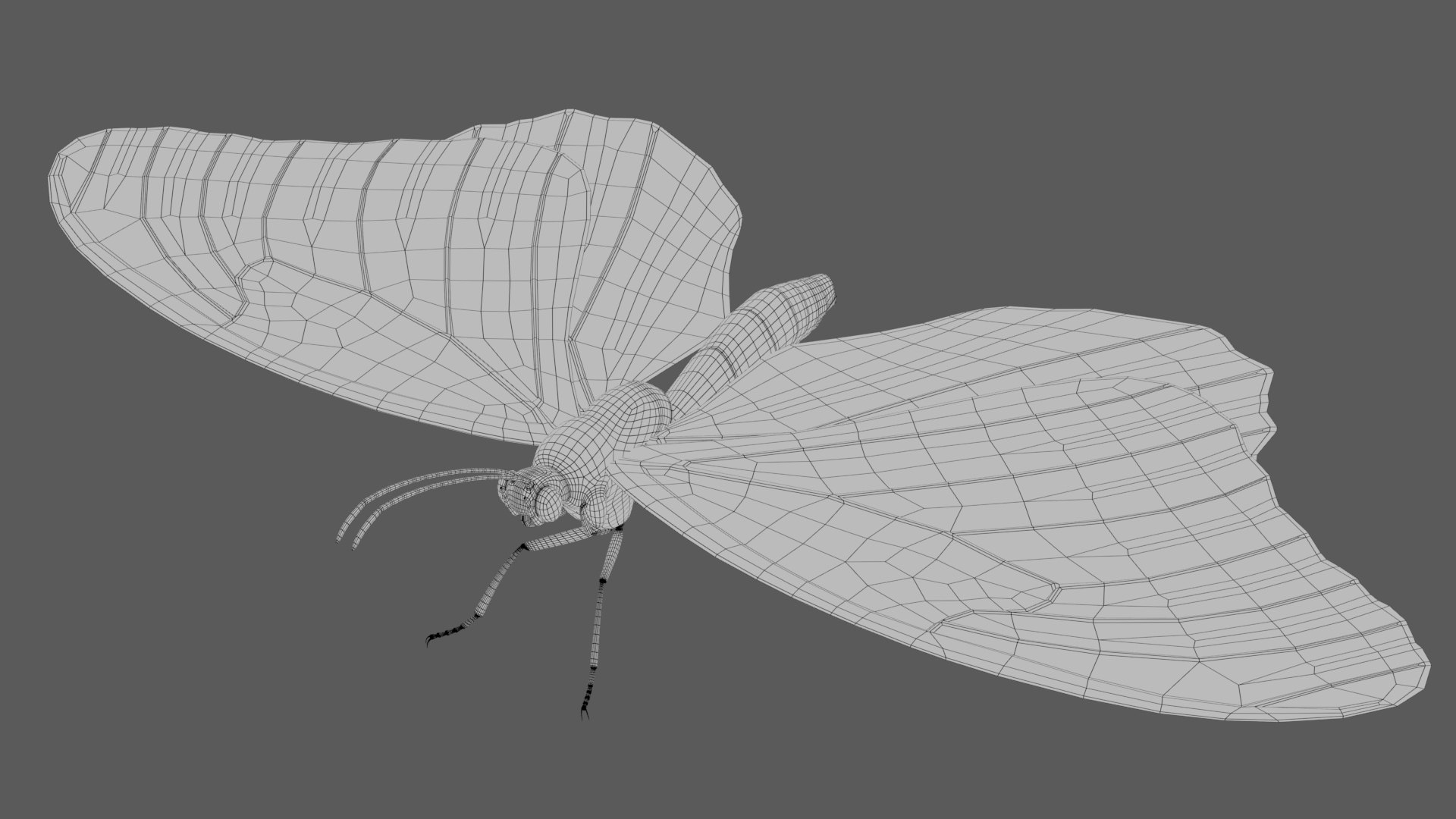 Blue Morpho Butterfly Animated 3D - TurboSquid 2017386