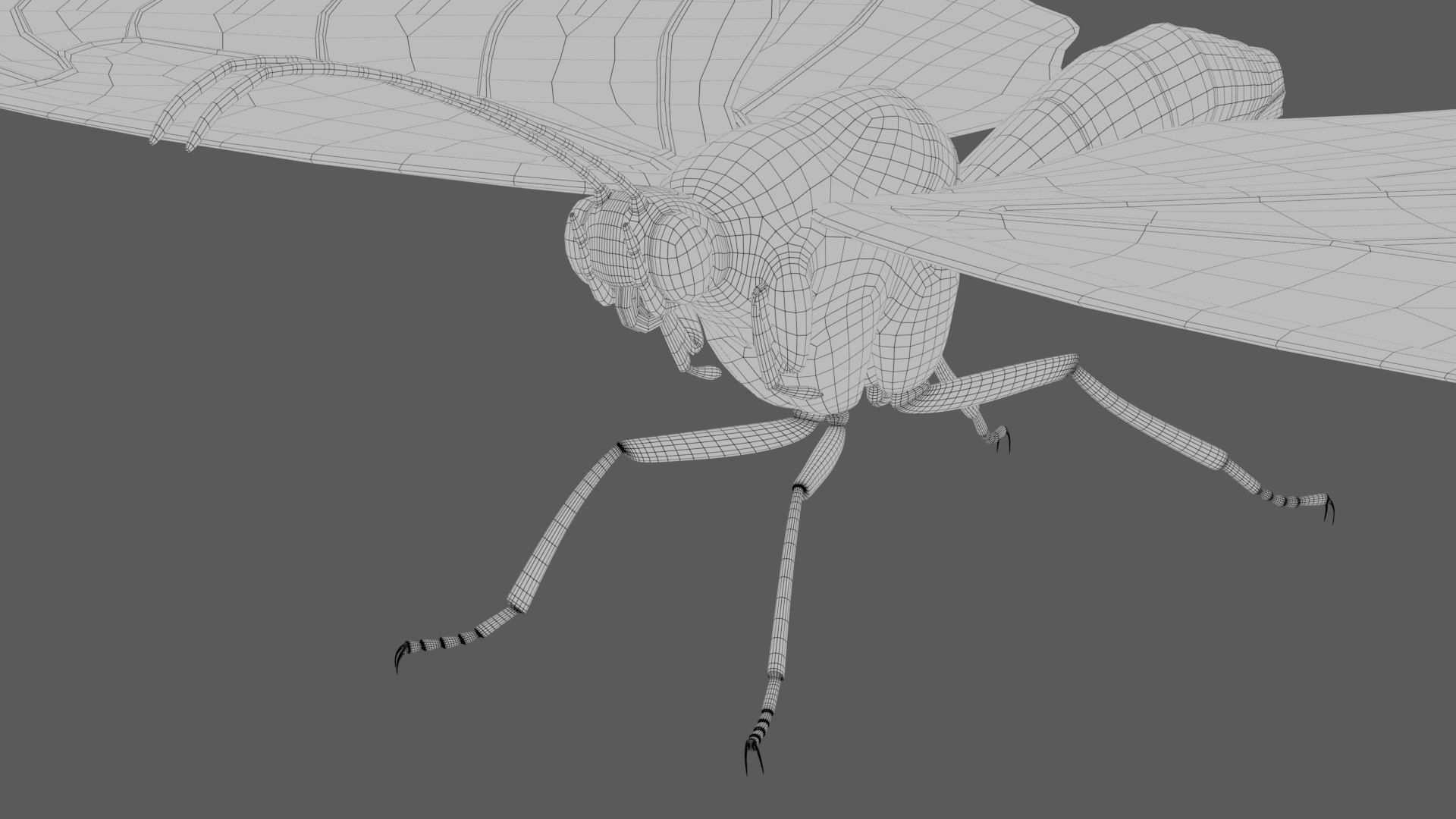 Blue Morpho Butterfly Animated 3D - TurboSquid 2017386