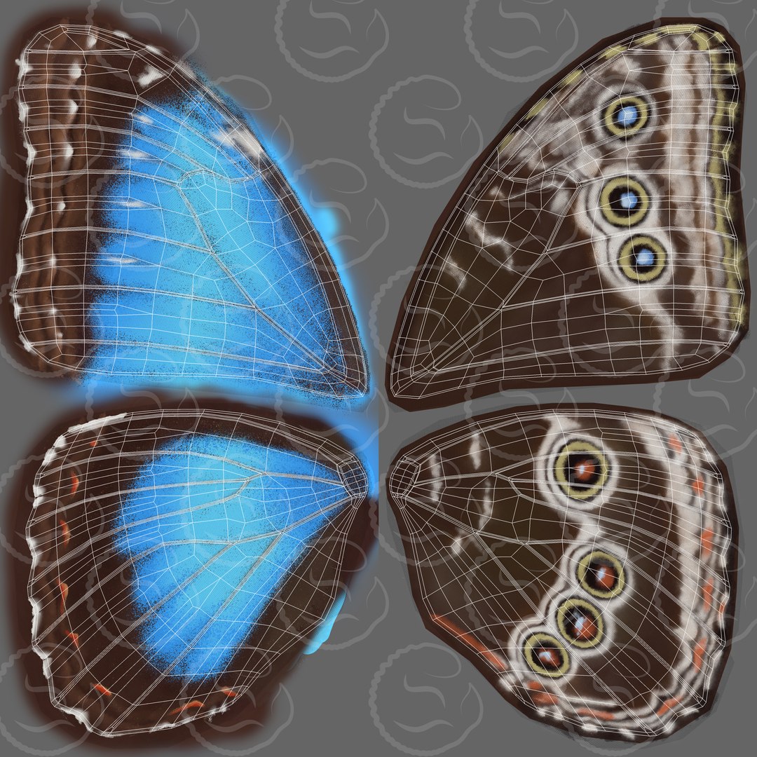 Blue Morpho Butterfly Animated 3D - TurboSquid 2017386
