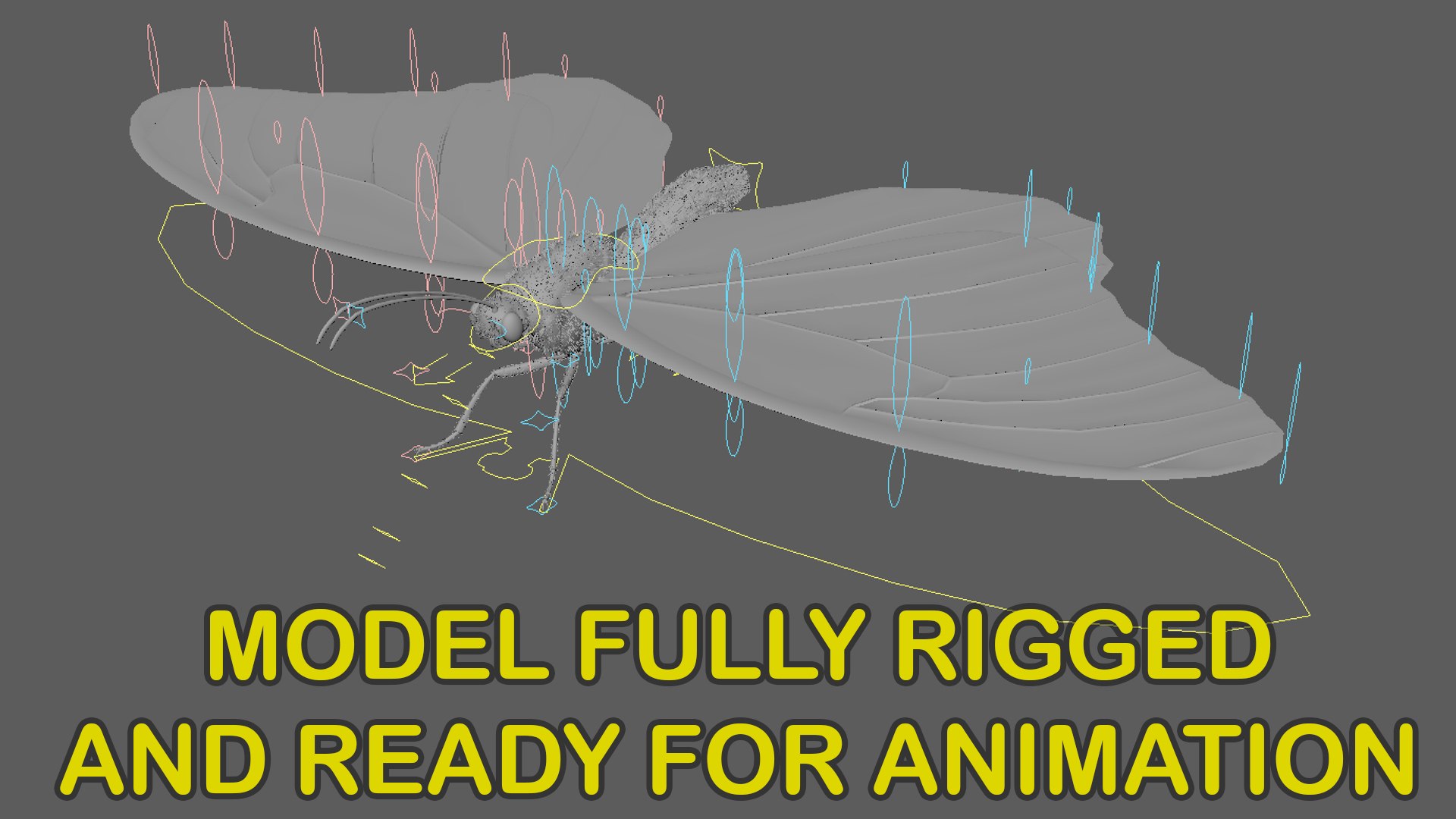 Blue Morpho Butterfly Animated 3D - TurboSquid 2017386