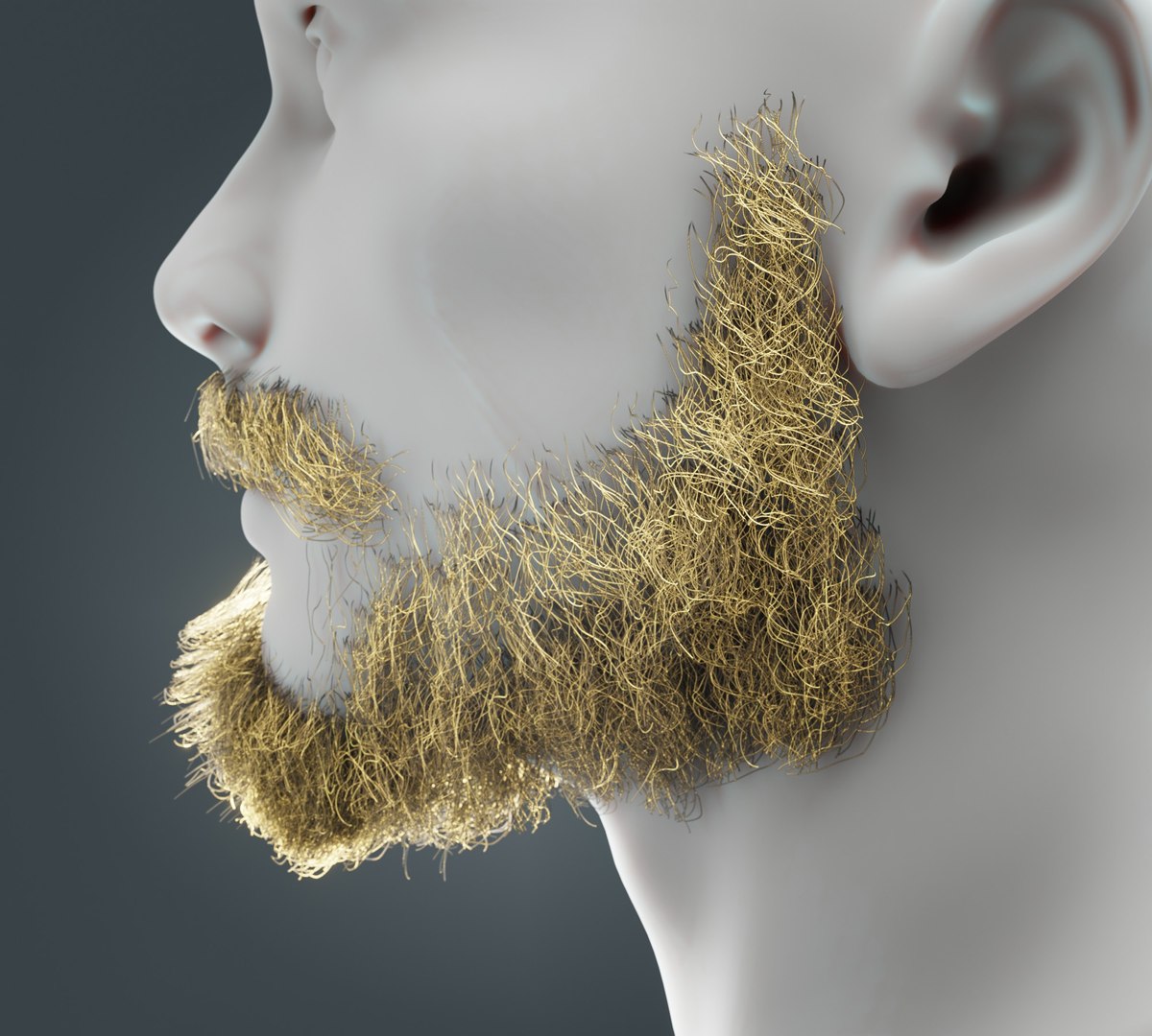 3D Beard RealTime 9 Version 2 Model - TurboSquid 1892355