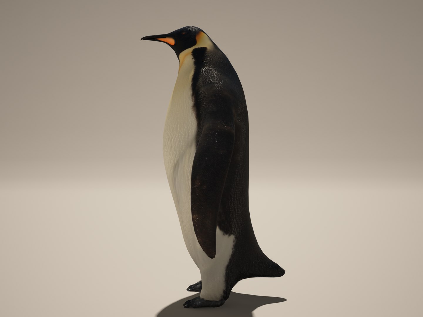 3d Model Of Penguin King