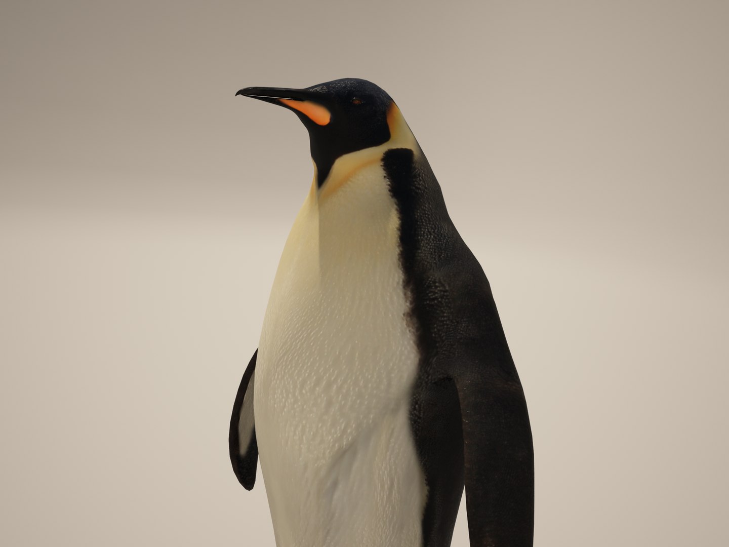 3d Model Of Penguin King