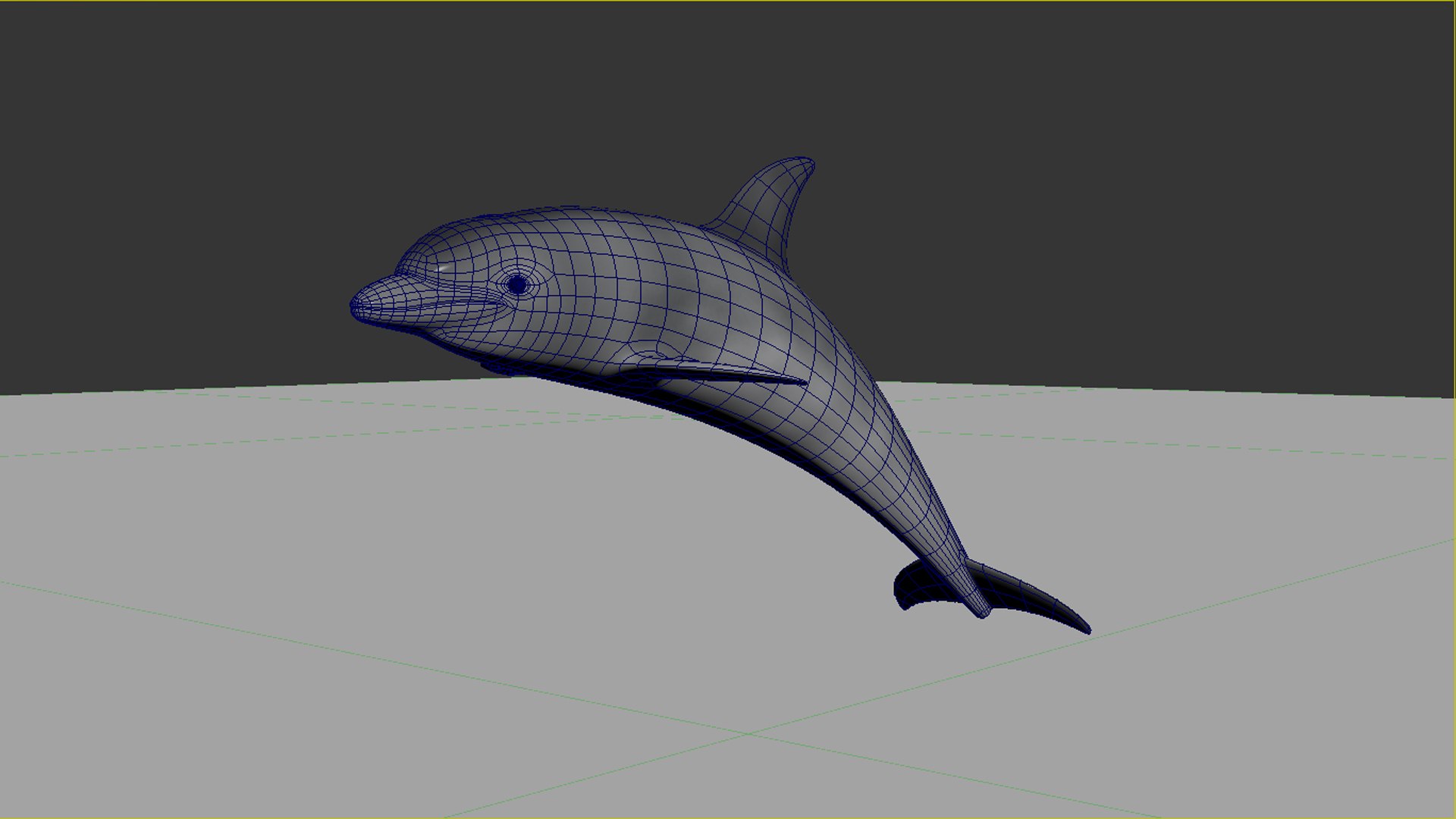 Dolphin Model - TurboSquid 1880717