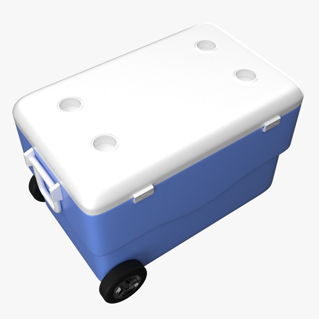3d Cooler Contains