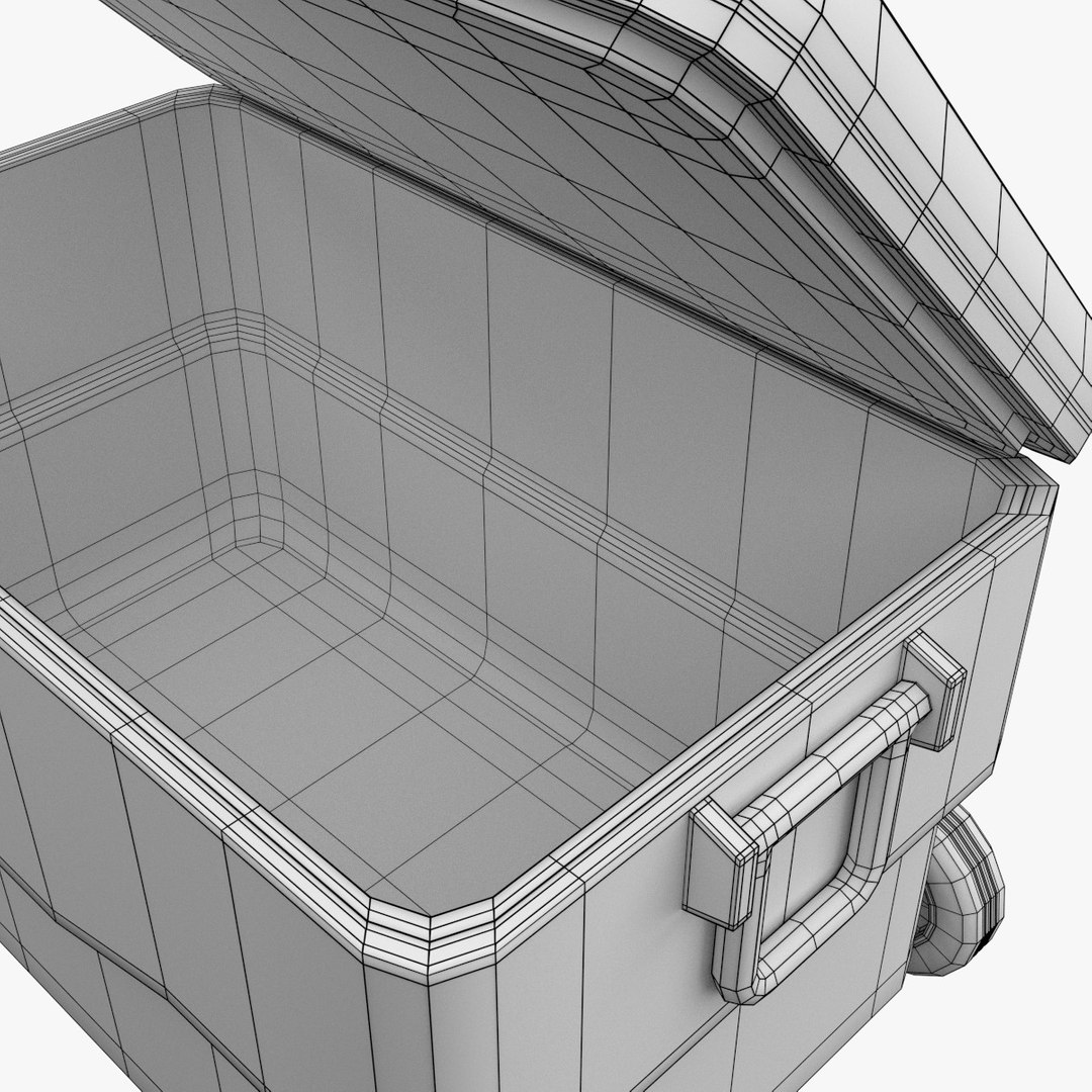 3d Cooler Contains
