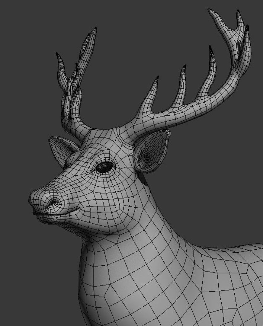 Maya Deer Buck