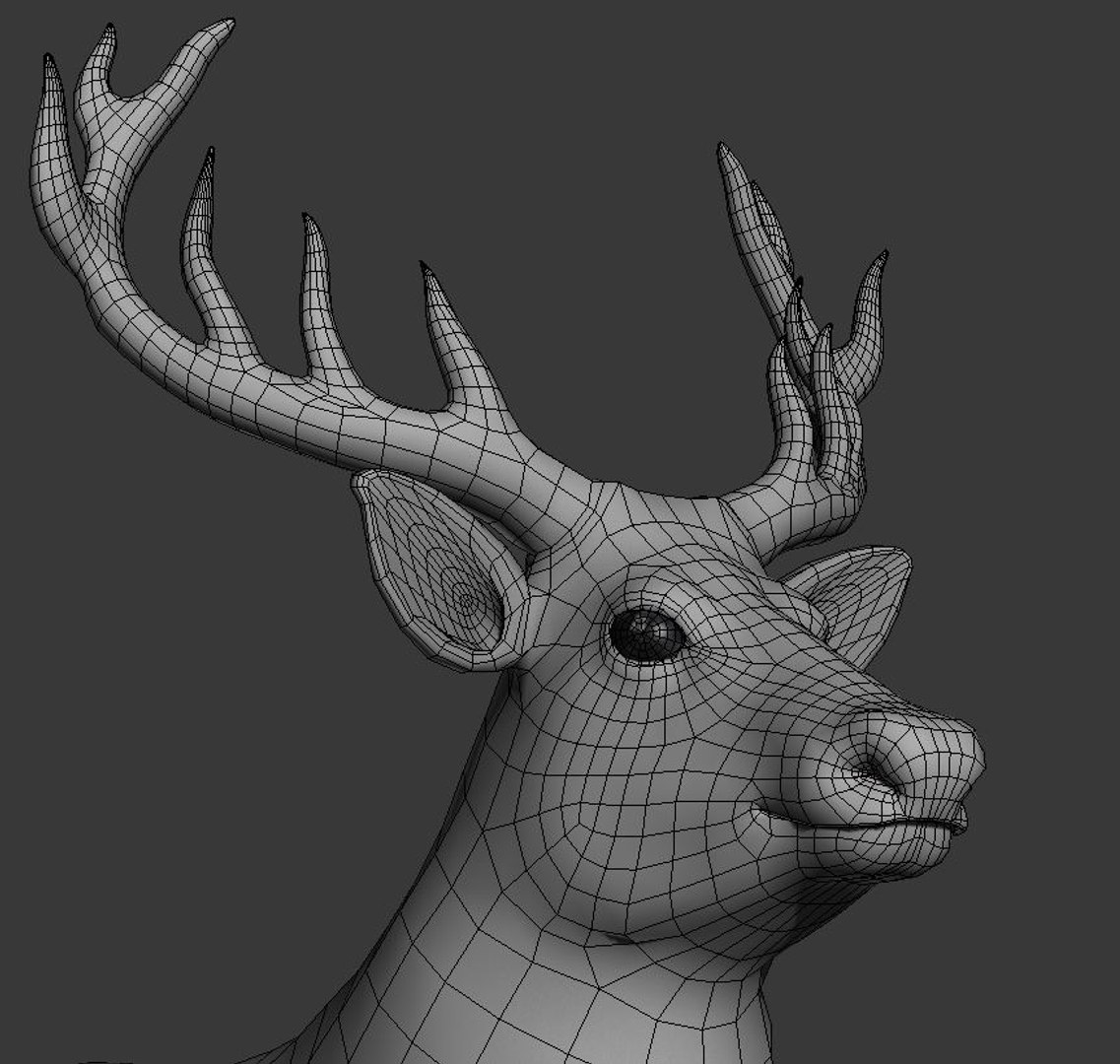 Maya Deer Buck