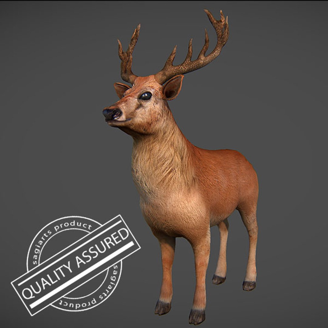 Maya Deer Buck