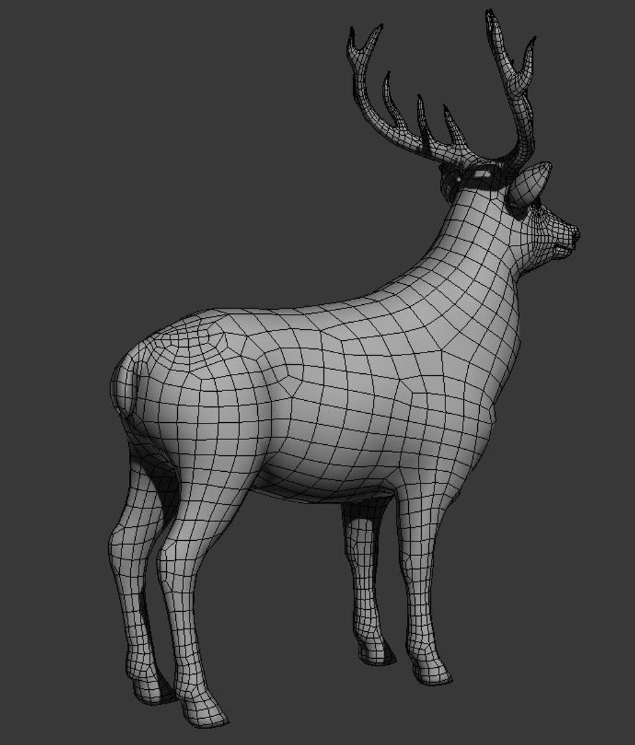 Maya Deer Buck