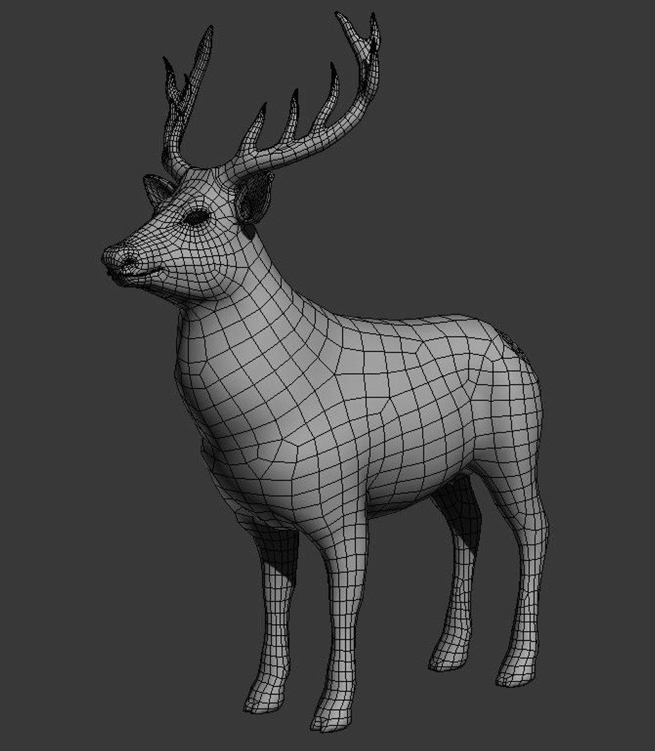 Maya Deer Buck
