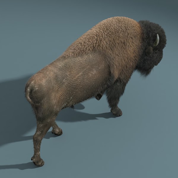 max american bison fur rigged