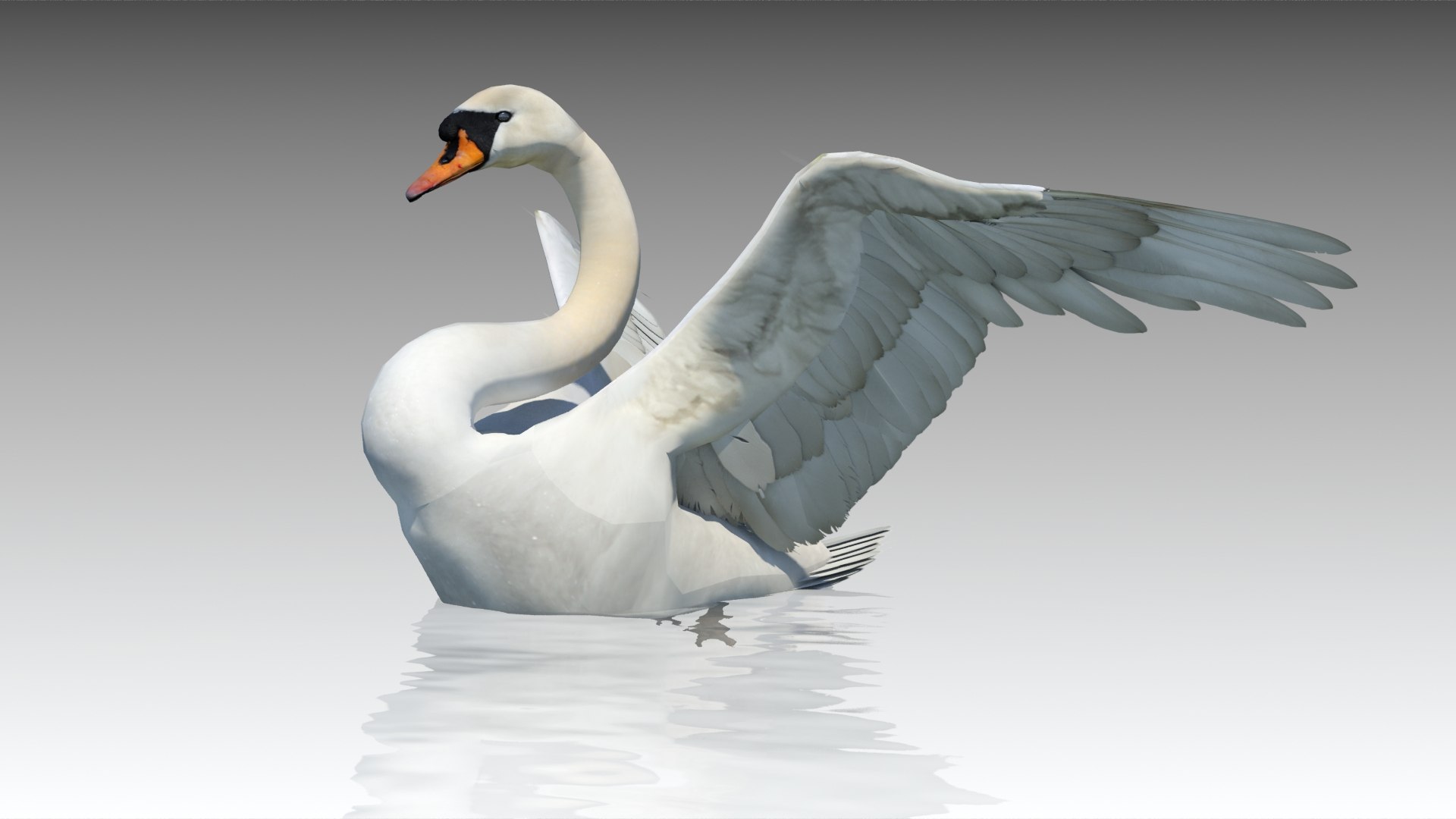 3d swan