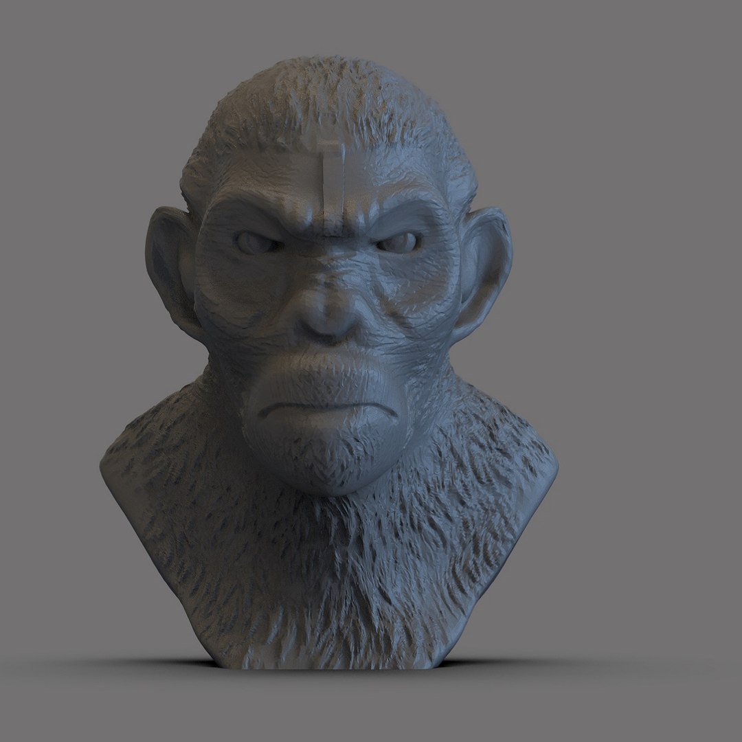 Caesar Ape Bust Model - TurboSquid 2252804