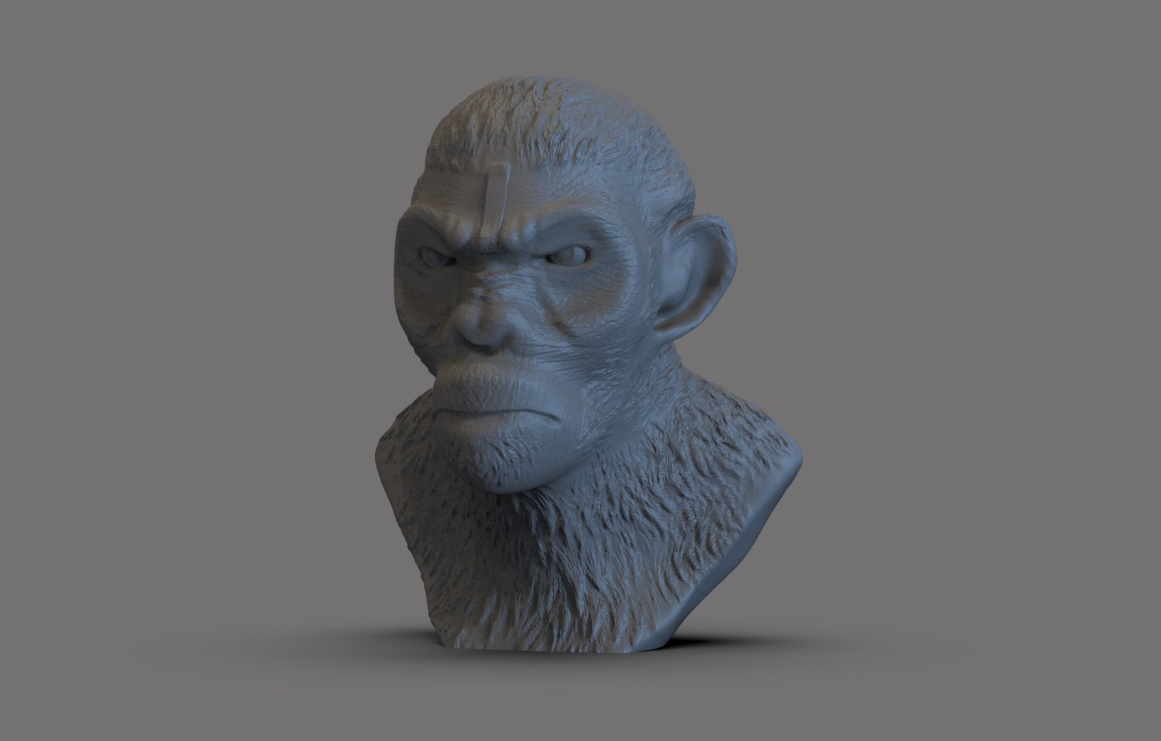 Caesar Ape Bust Model - TurboSquid 2252804