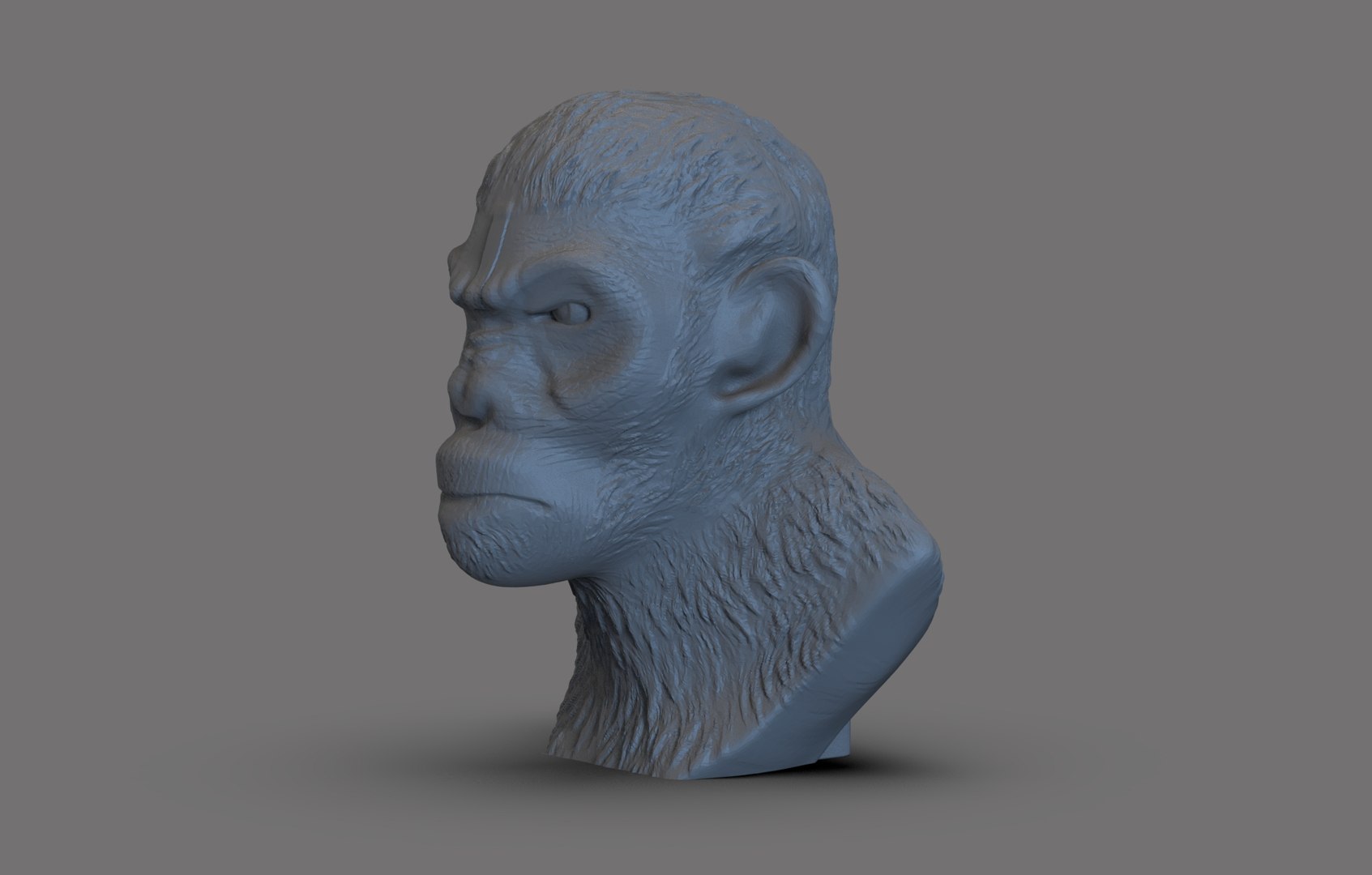 Caesar Ape Bust Model - TurboSquid 2252804