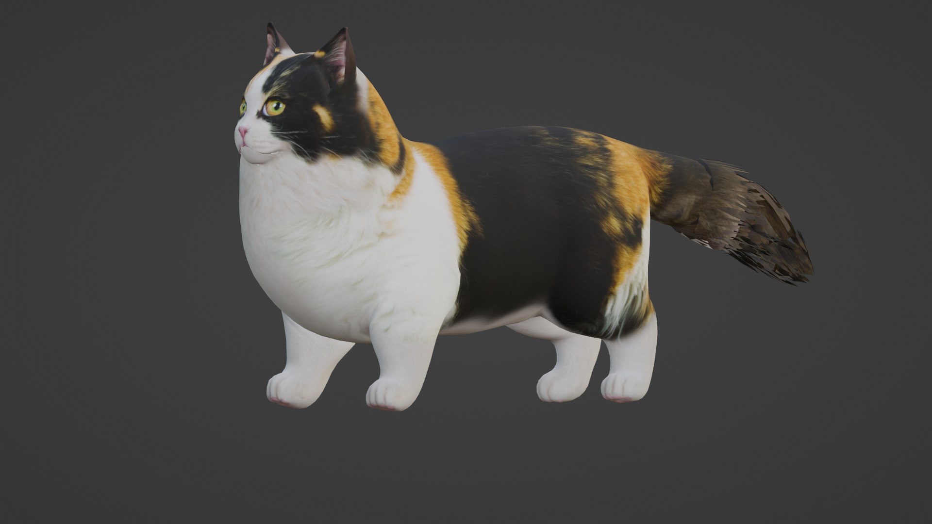 Cat Rigged 3D model - TurboSquid 2171977
