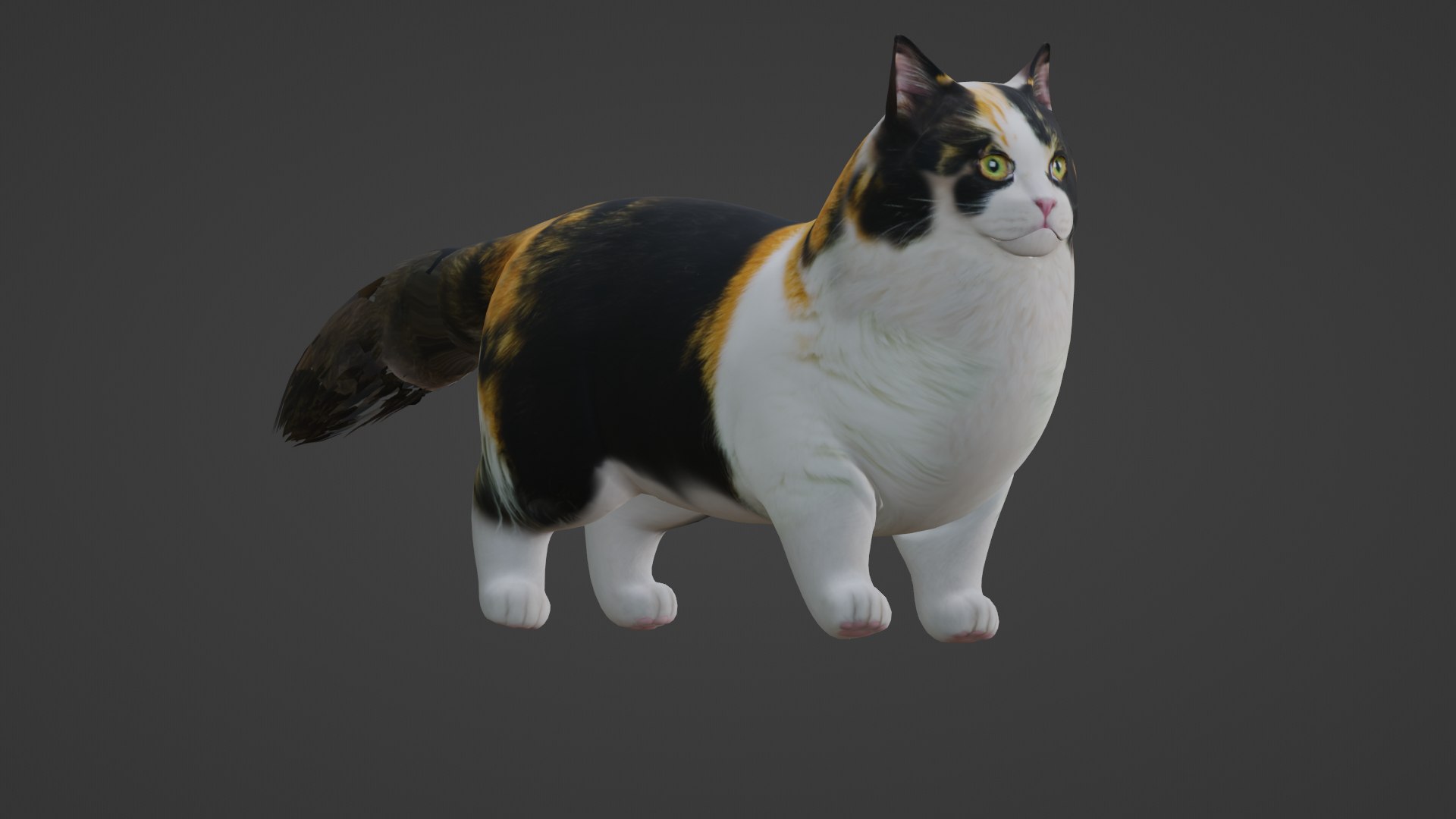 Cat Rigged 3D model - TurboSquid 2171977
