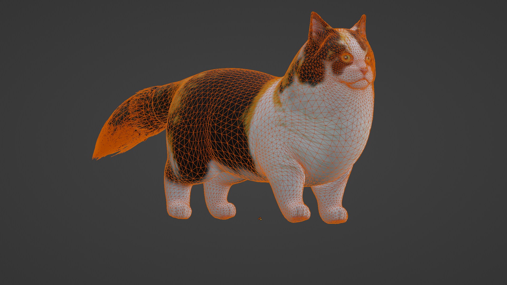 Cat Rigged 3D model - TurboSquid 2171977
