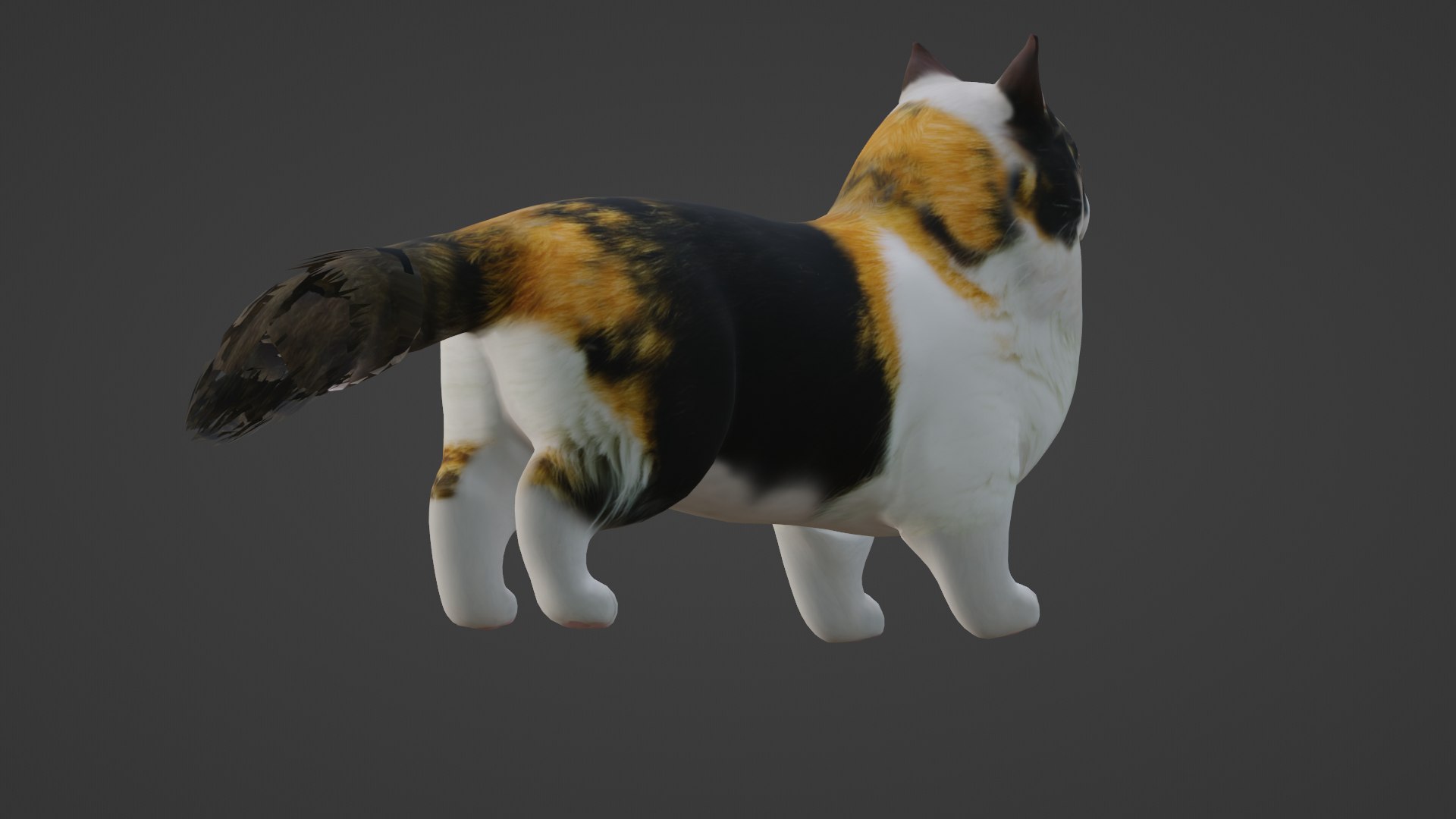 Cat Rigged 3D model - TurboSquid 2171977