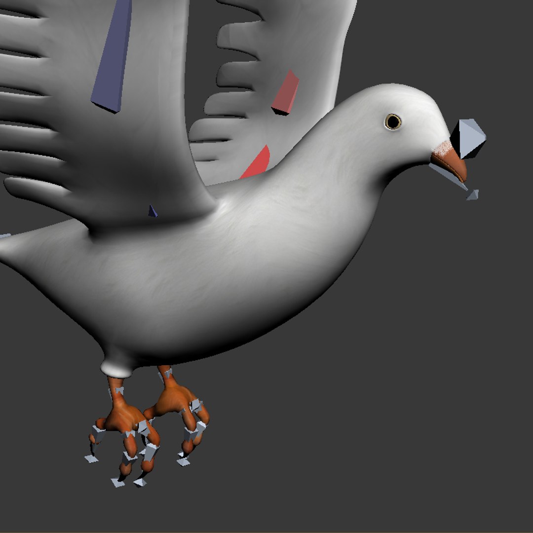 Dove Flying Animation 3d Model