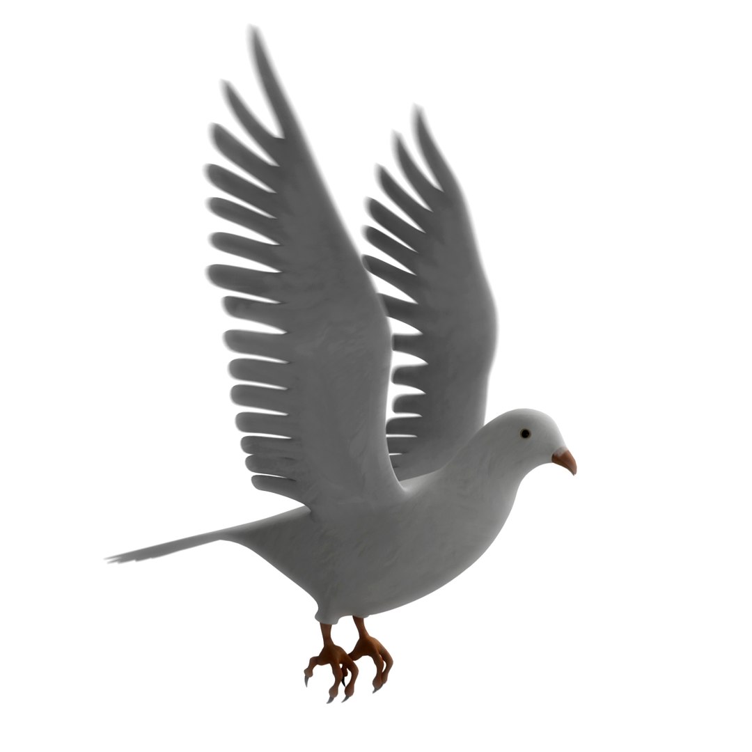 Dove Flying Animation 3d Model
