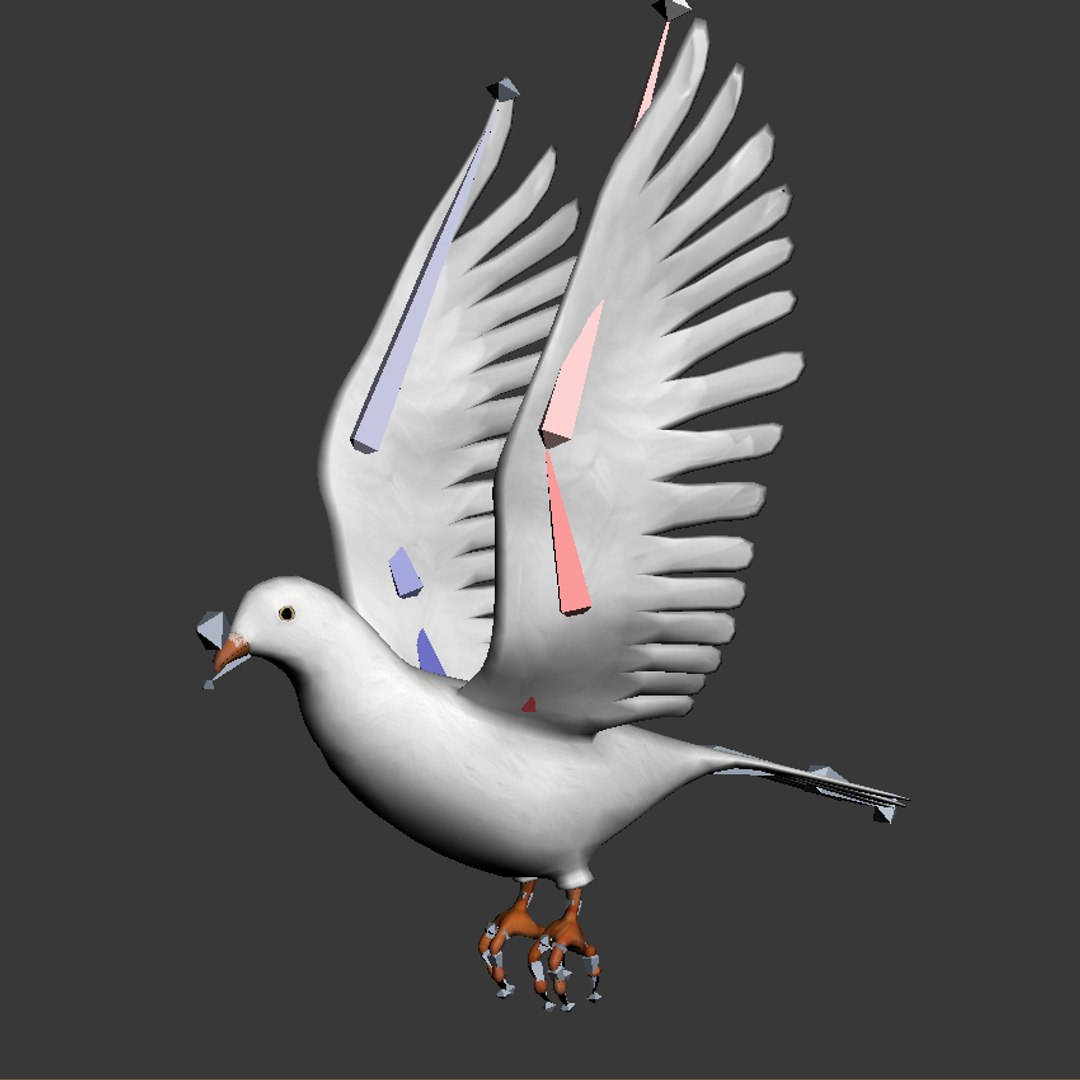 Dove Flying Animation 3d Model