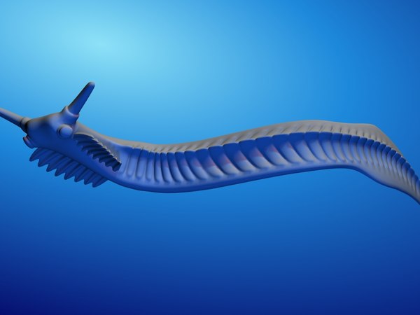 3d model pikaia prehistoric cambrian