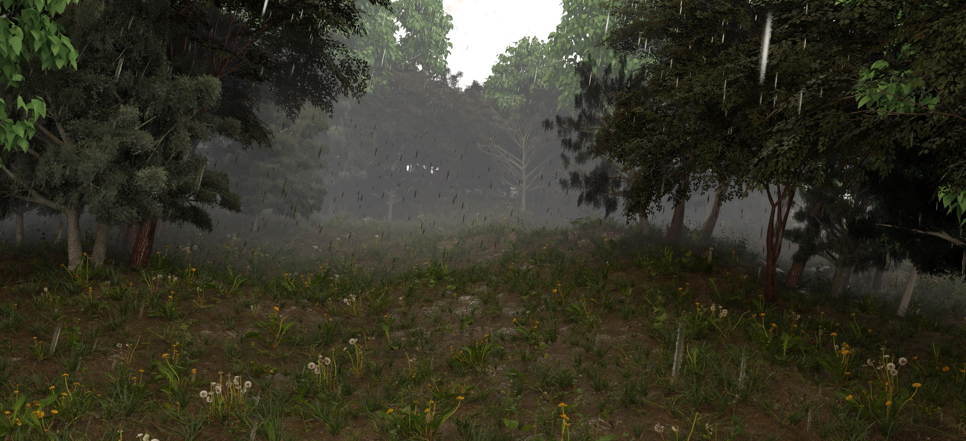 Most Realistic FOREST 3D - TurboSquid 2290082
