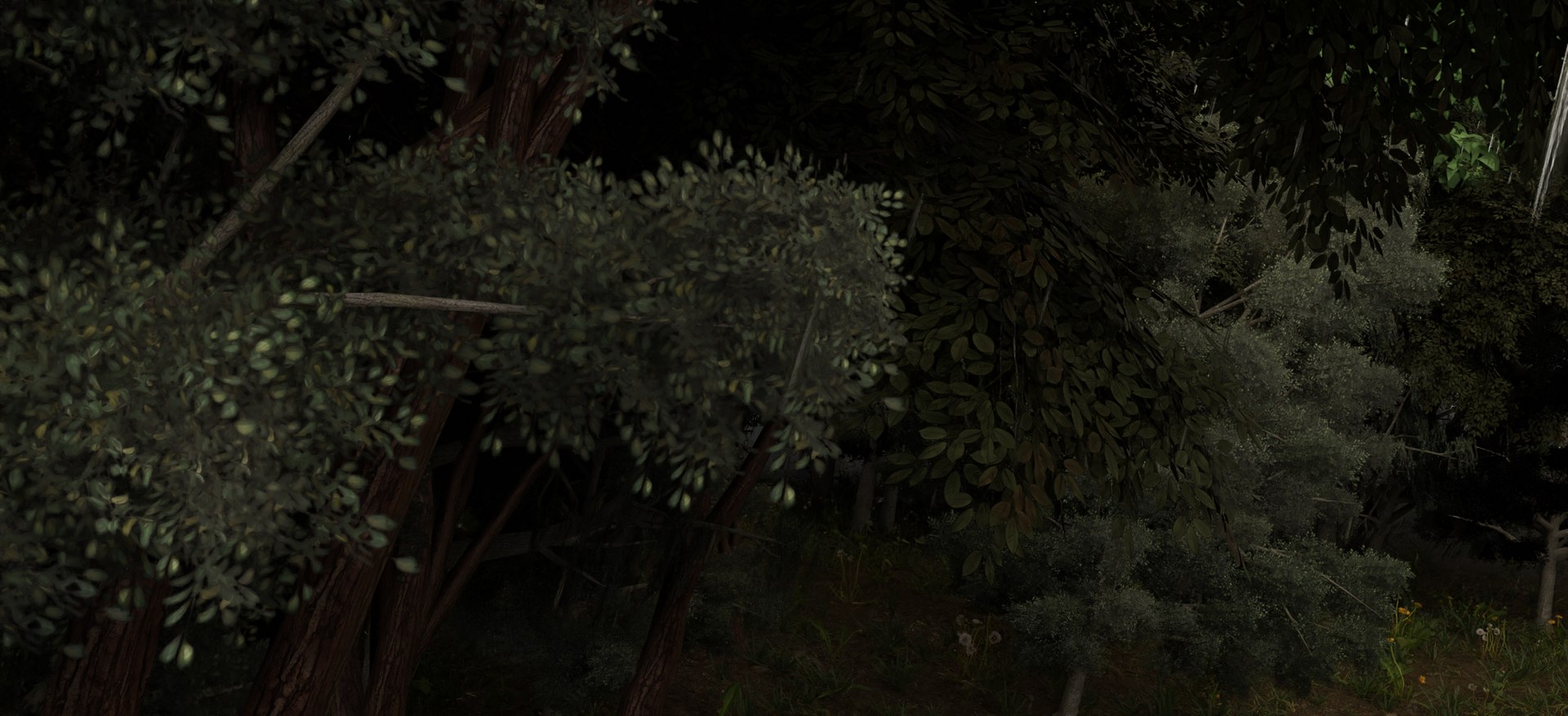 Most Realistic FOREST 3D - TurboSquid 2290082