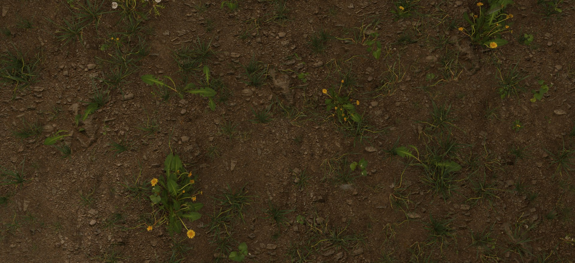 Most Realistic FOREST 3D - TurboSquid 2290082