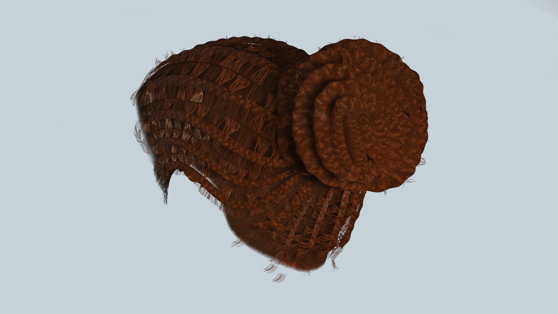 Cornrow Bun Hair - Realistic 3D Hairstyle For Women 3D Model ...