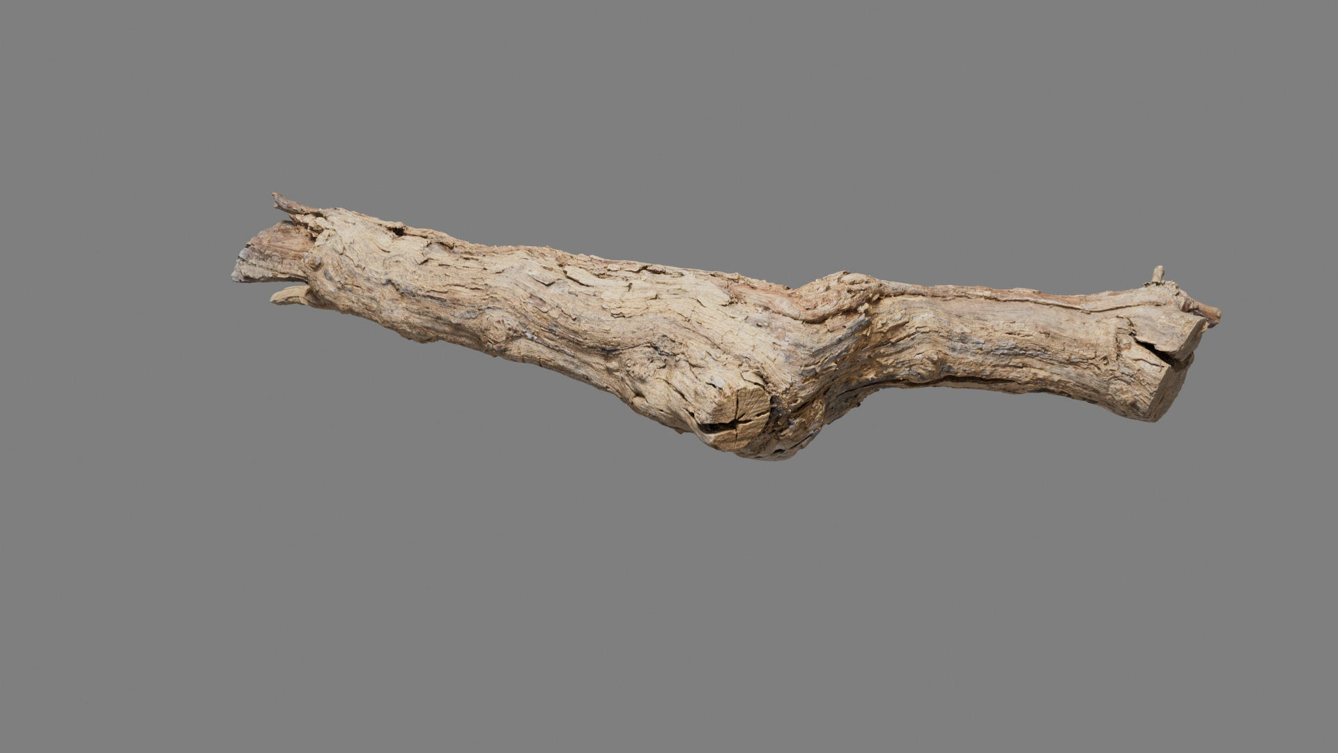 3D Model Grapevine Bark 3D Scanned 10 - TurboSquid 1981887