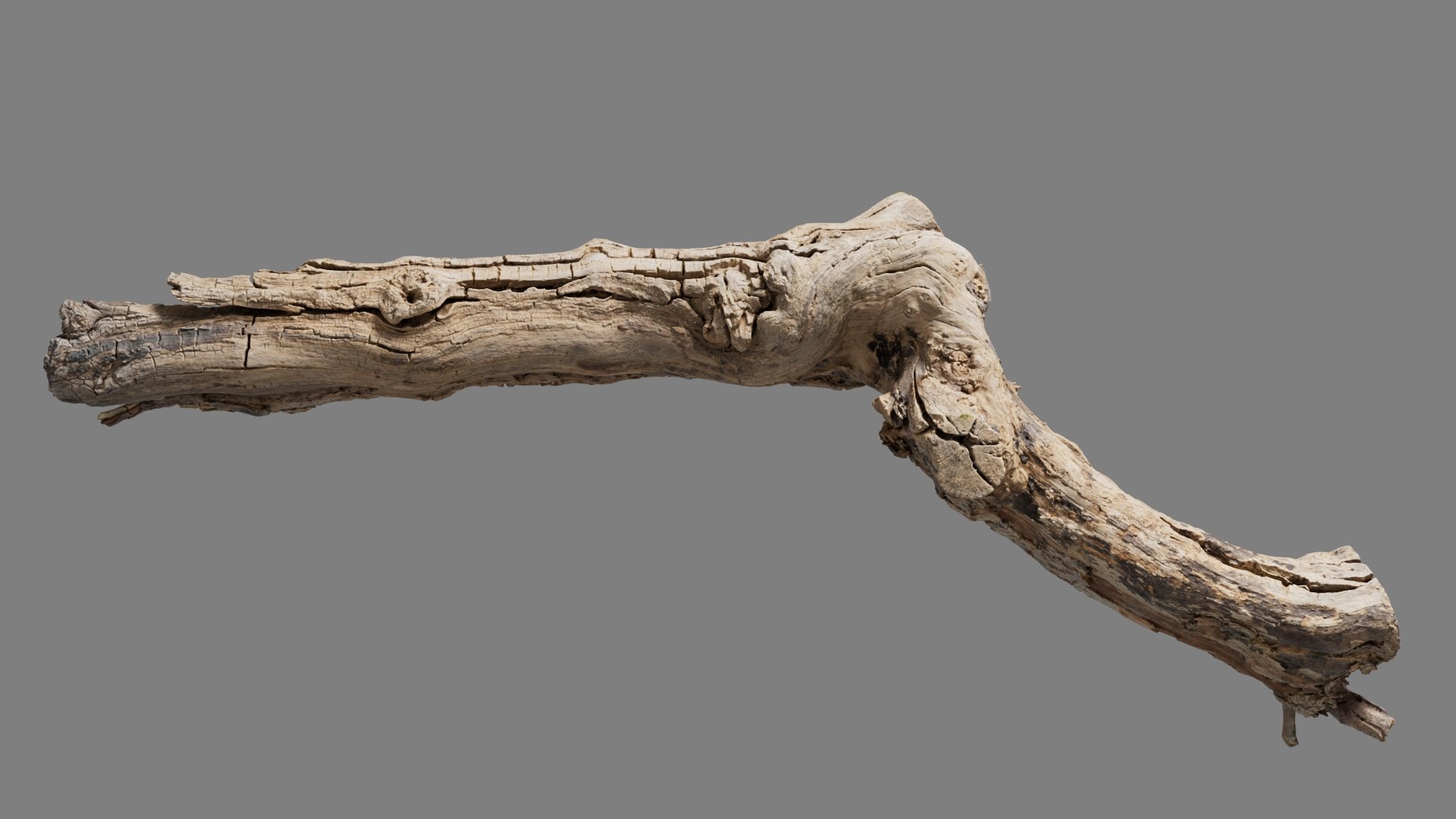 3D Model Grapevine Bark 3D Scanned 10 - TurboSquid 1981887