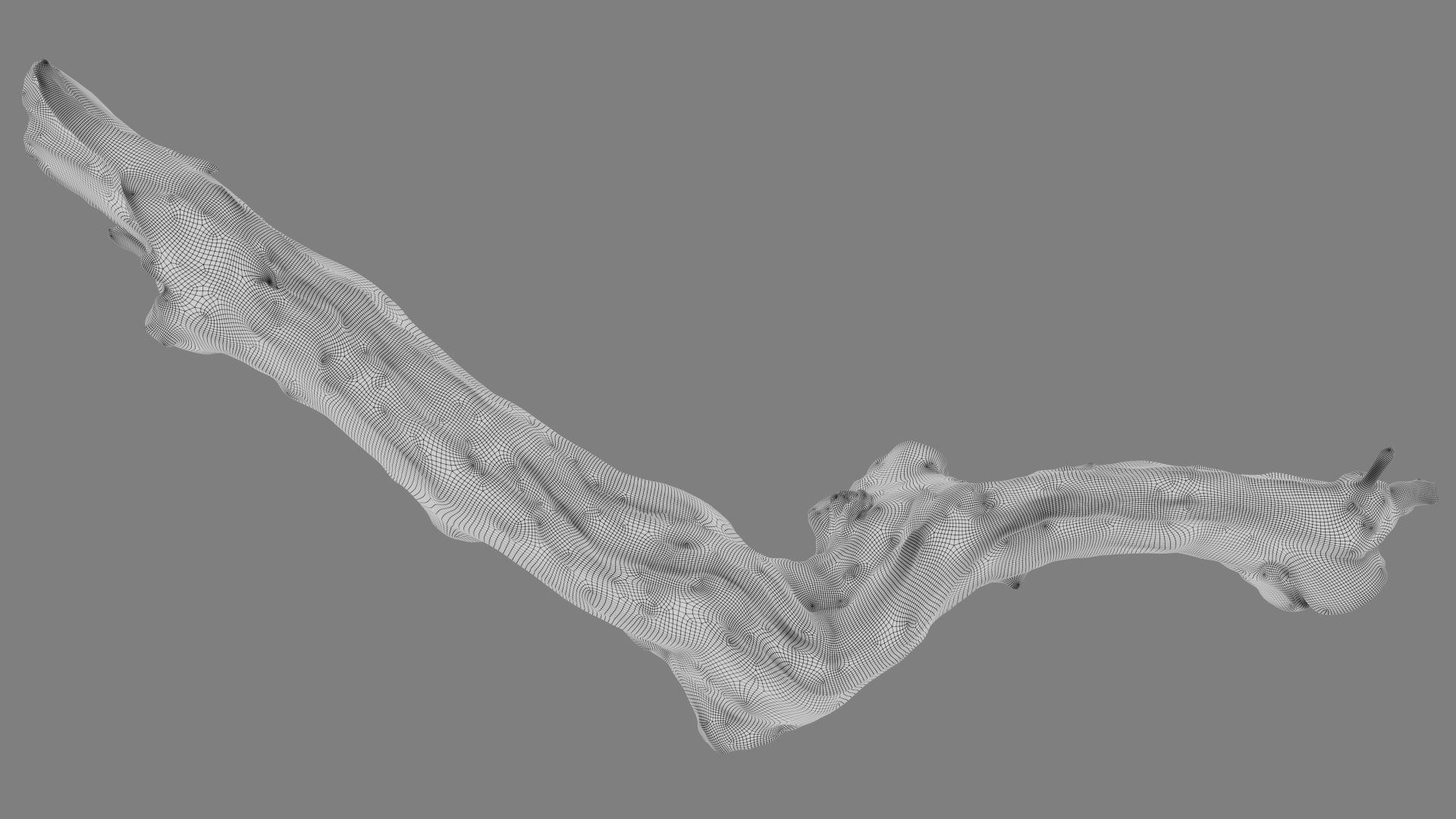 3D Model Grapevine Bark 3D Scanned 10 - TurboSquid 1981887