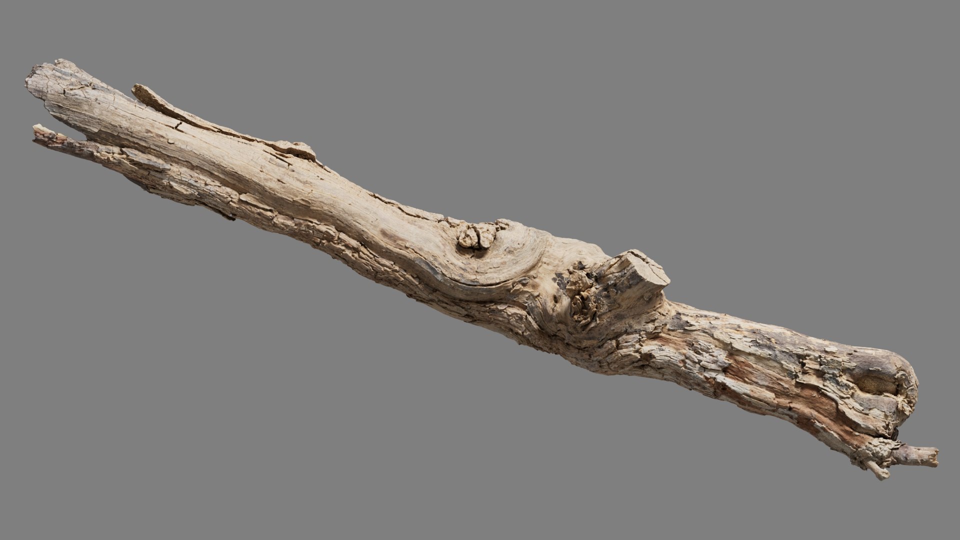 3D Model Grapevine Bark 3D Scanned 10 - TurboSquid 1981887