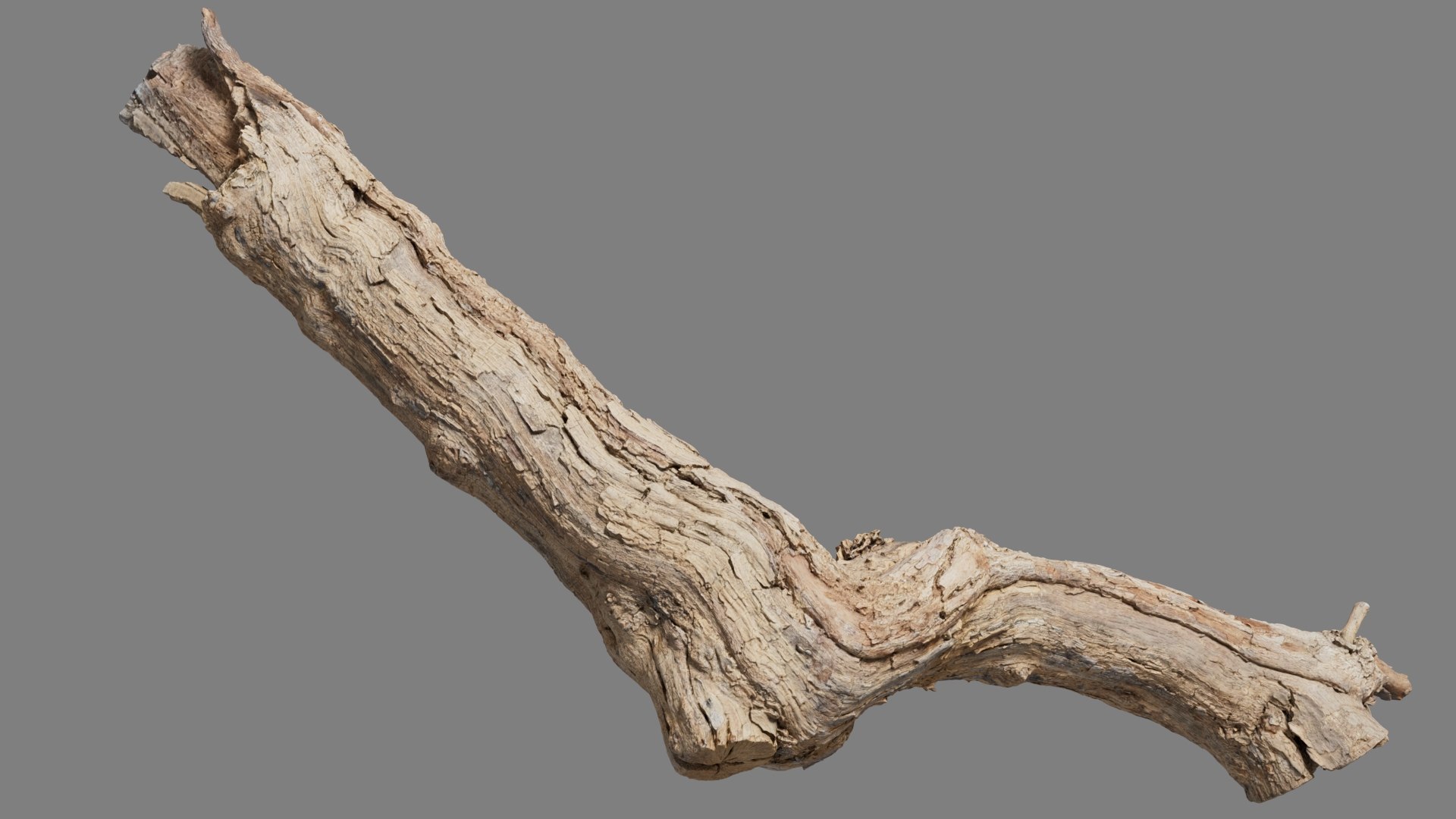 3D Model Grapevine Bark 3D Scanned 10 - TurboSquid 1981887