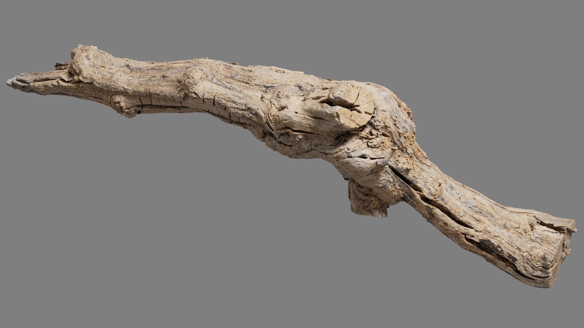 3D Model Grapevine Bark 3D Scanned 10 - TurboSquid 1981887