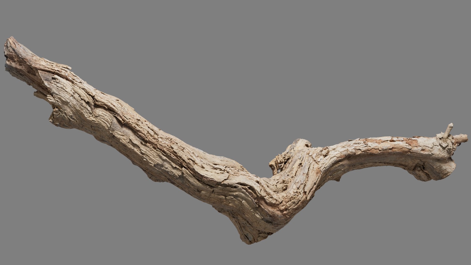 3D Model Grapevine Bark 3D Scanned 10 - TurboSquid 1981887