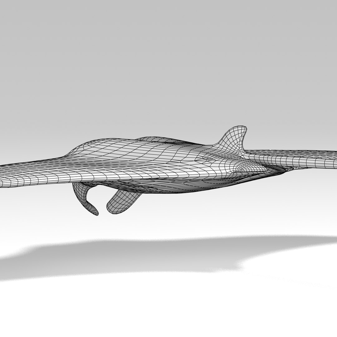 3d rigging manta model