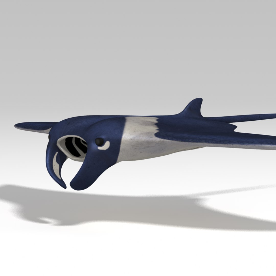 3d rigging manta model